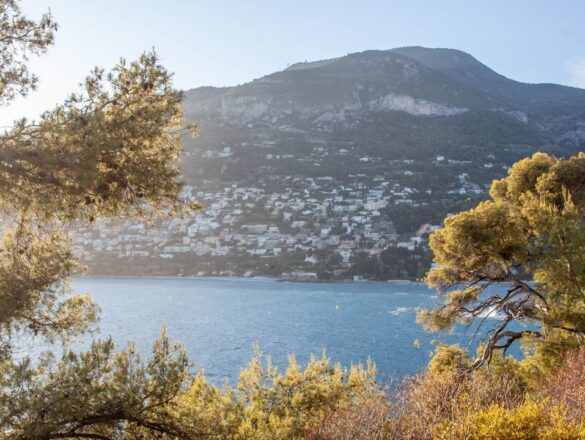 Where Chefs Eat: Mauro Colagreco's Riviera Secrets - Travel - Scope Digest